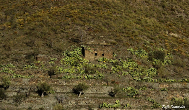 Albun de Fotos: Olula de Castro